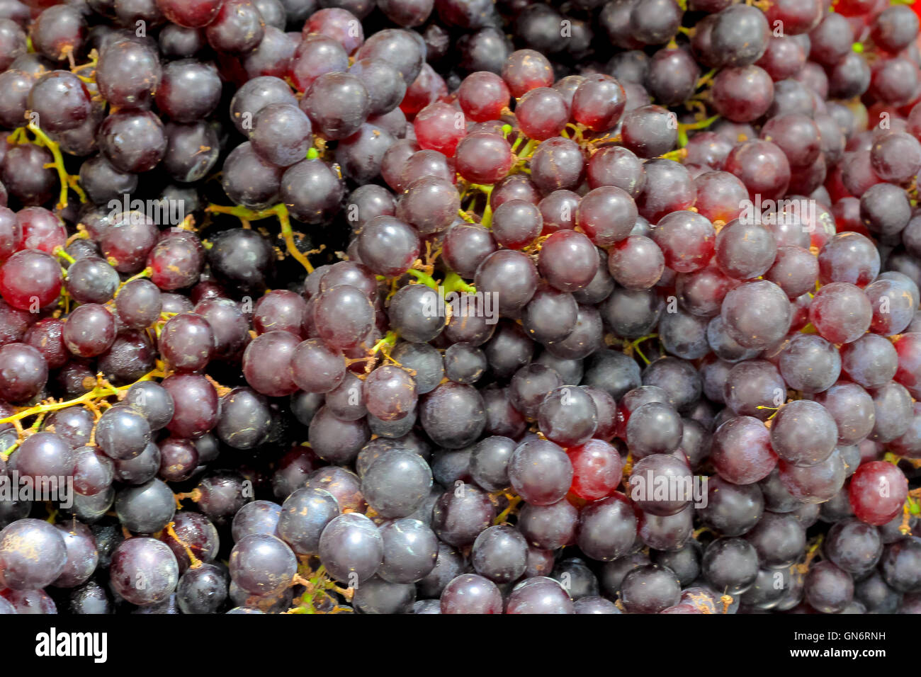 grape Beauty Seedless background Stock Photo - Alamy