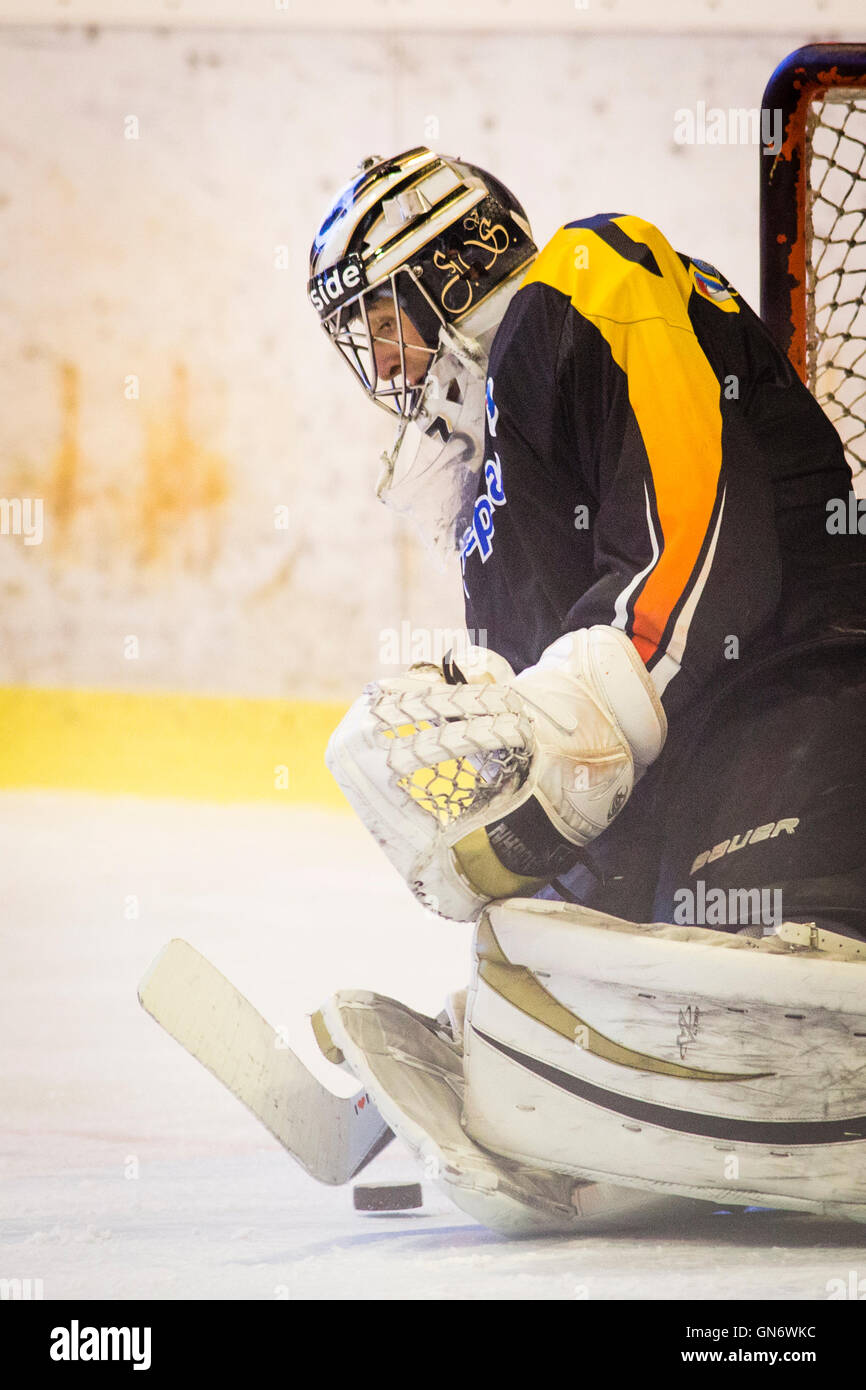 Goaltender ice hockey player hi-res stock photography and images - Alamy
