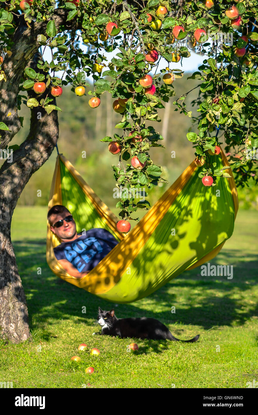 Beautiful Fruit Tree Garden