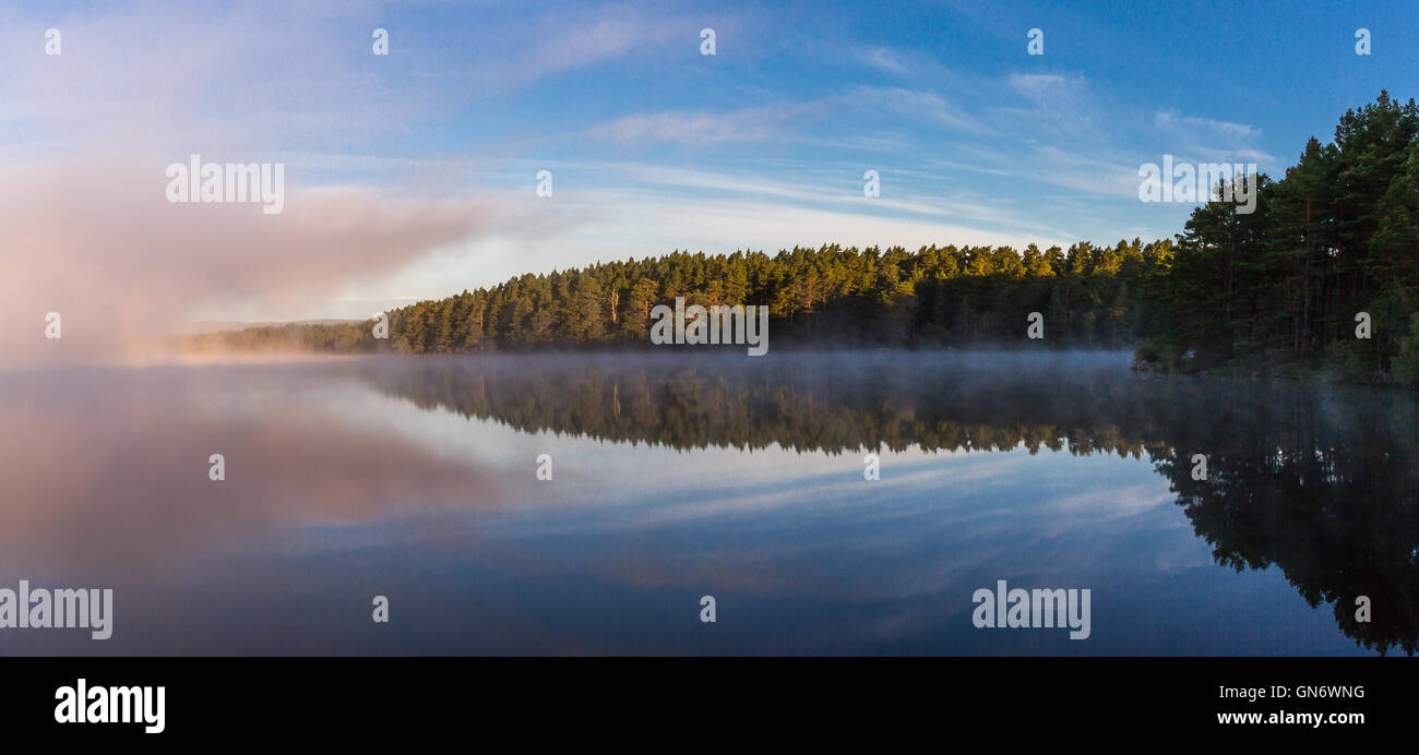 Mist rising over Loch Garten, Scotland Stock Photo - Alamy
