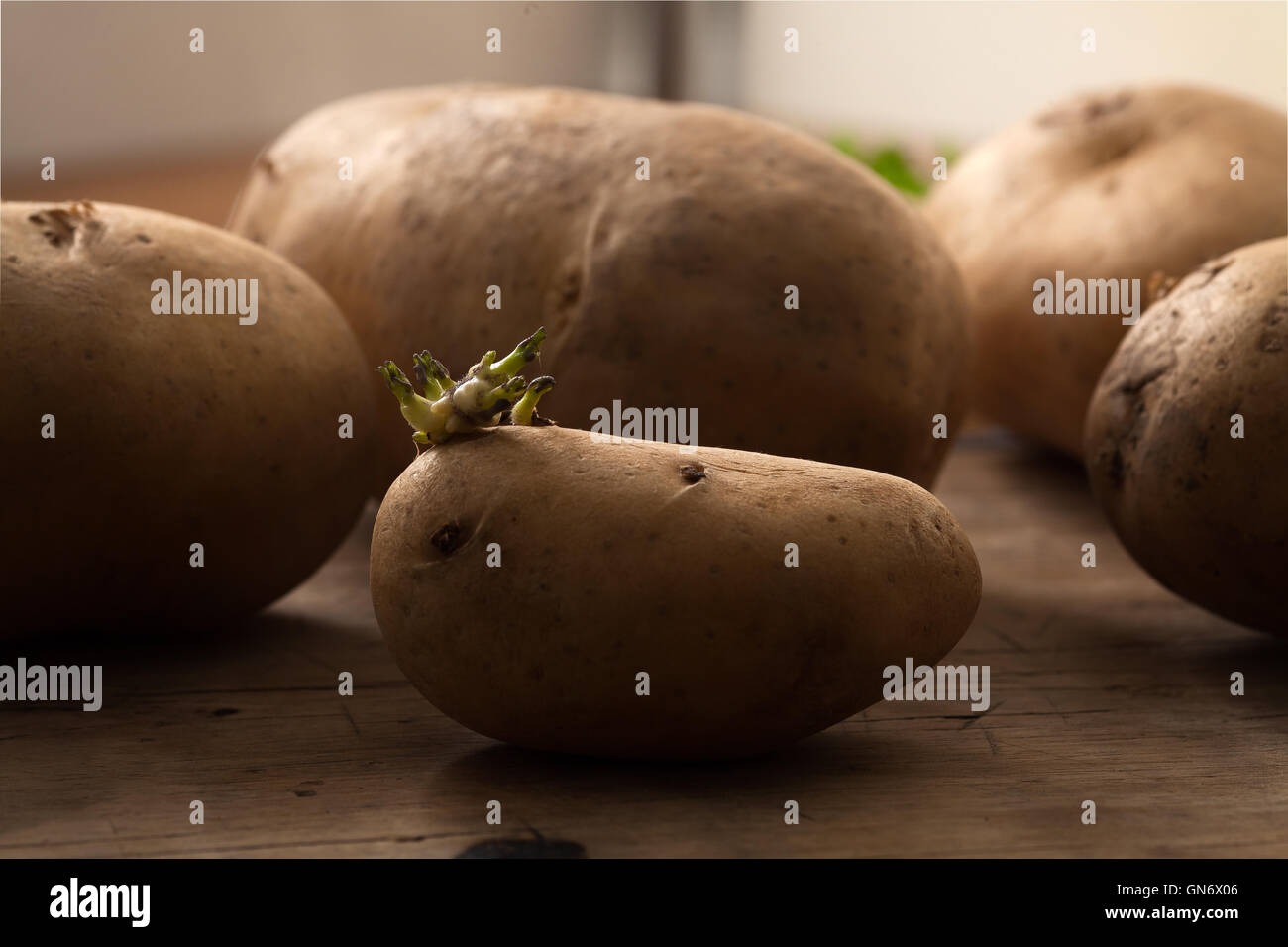 potato ingredient raw rustic still life wood black background Stock ...