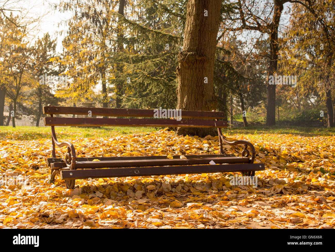 Autumn fairy tale. Park path covered in fallen leaves Stock Photo - Alamy