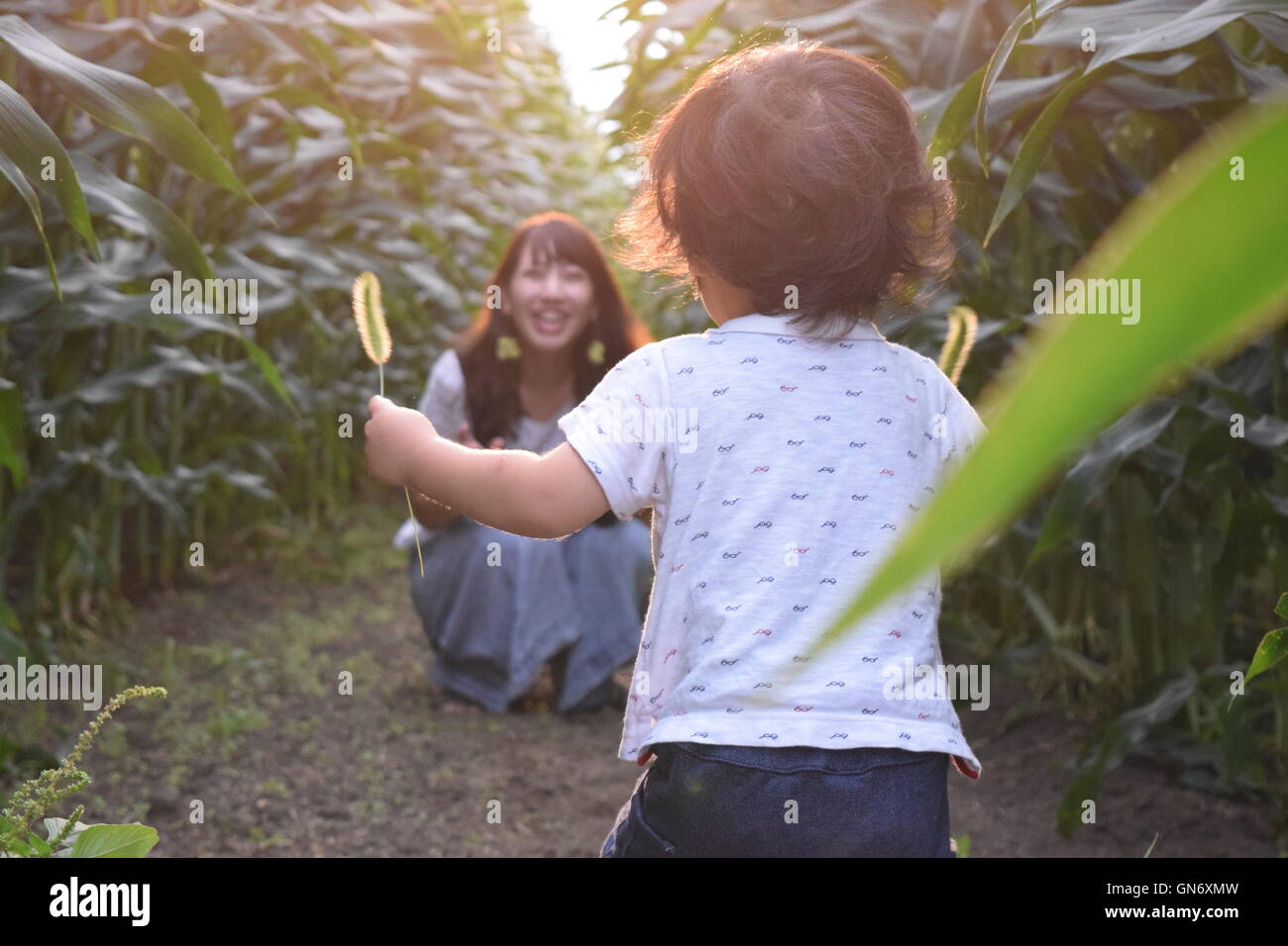 mother and her boy are palying outer place Stock Photo - Alamy