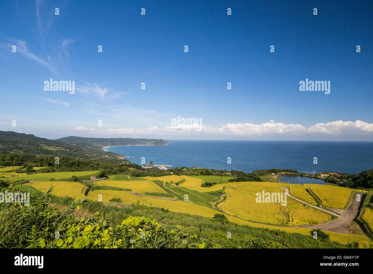 100 best rice terraces in japan hi-res stock photography and images - Alamy