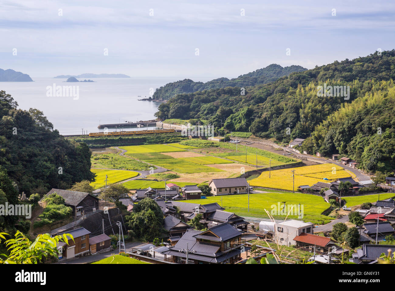 Rice Terraces of Tonomi, Hofu, Japan Stock Photo - Alamy