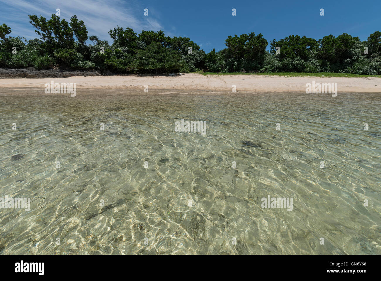 Sea of Hatoma, Okinawa, Japan Stock Photo - Alamy
