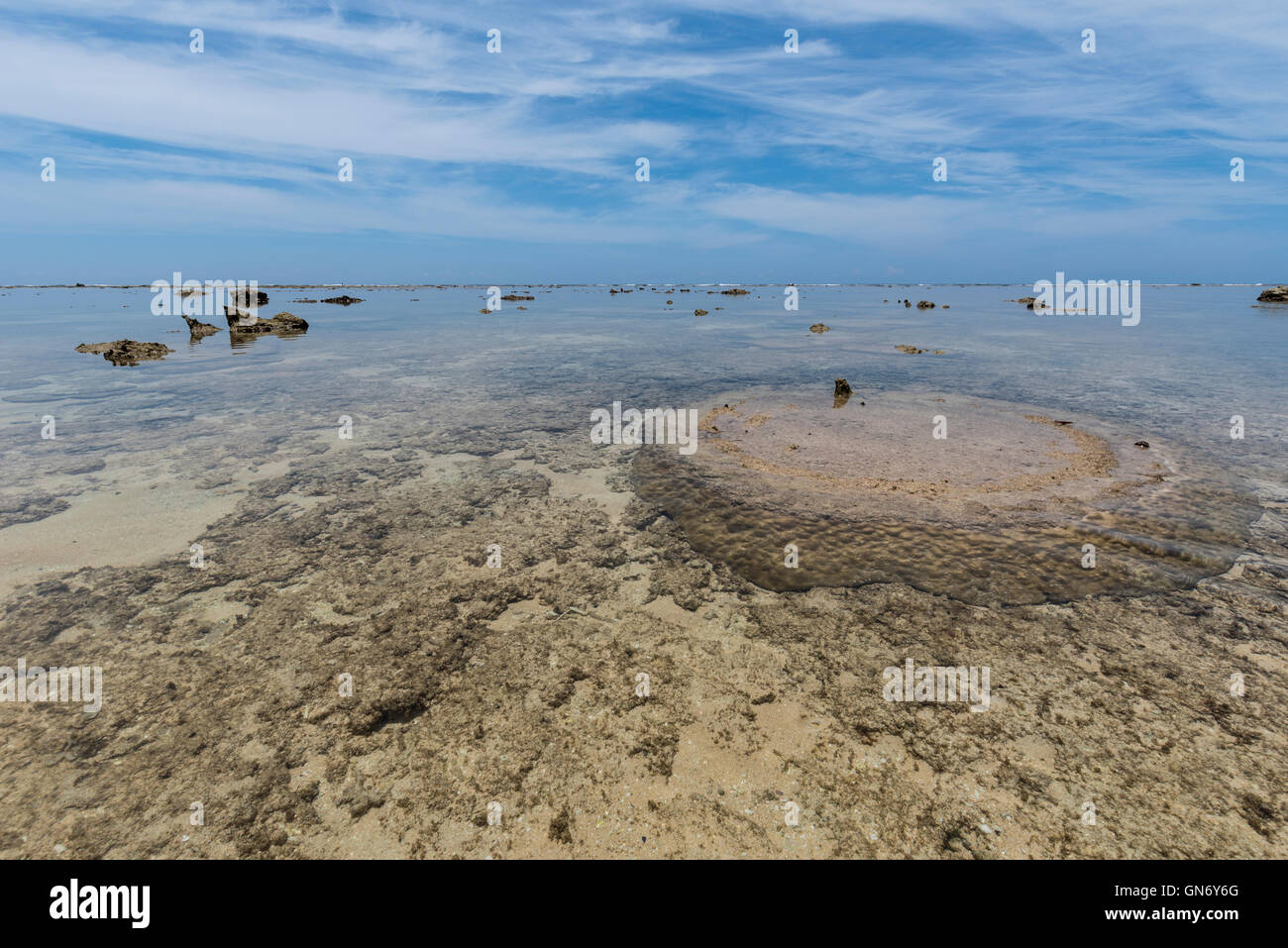 Sea of Hatoma, Okinawa, Japan Stock Photo - Alamy