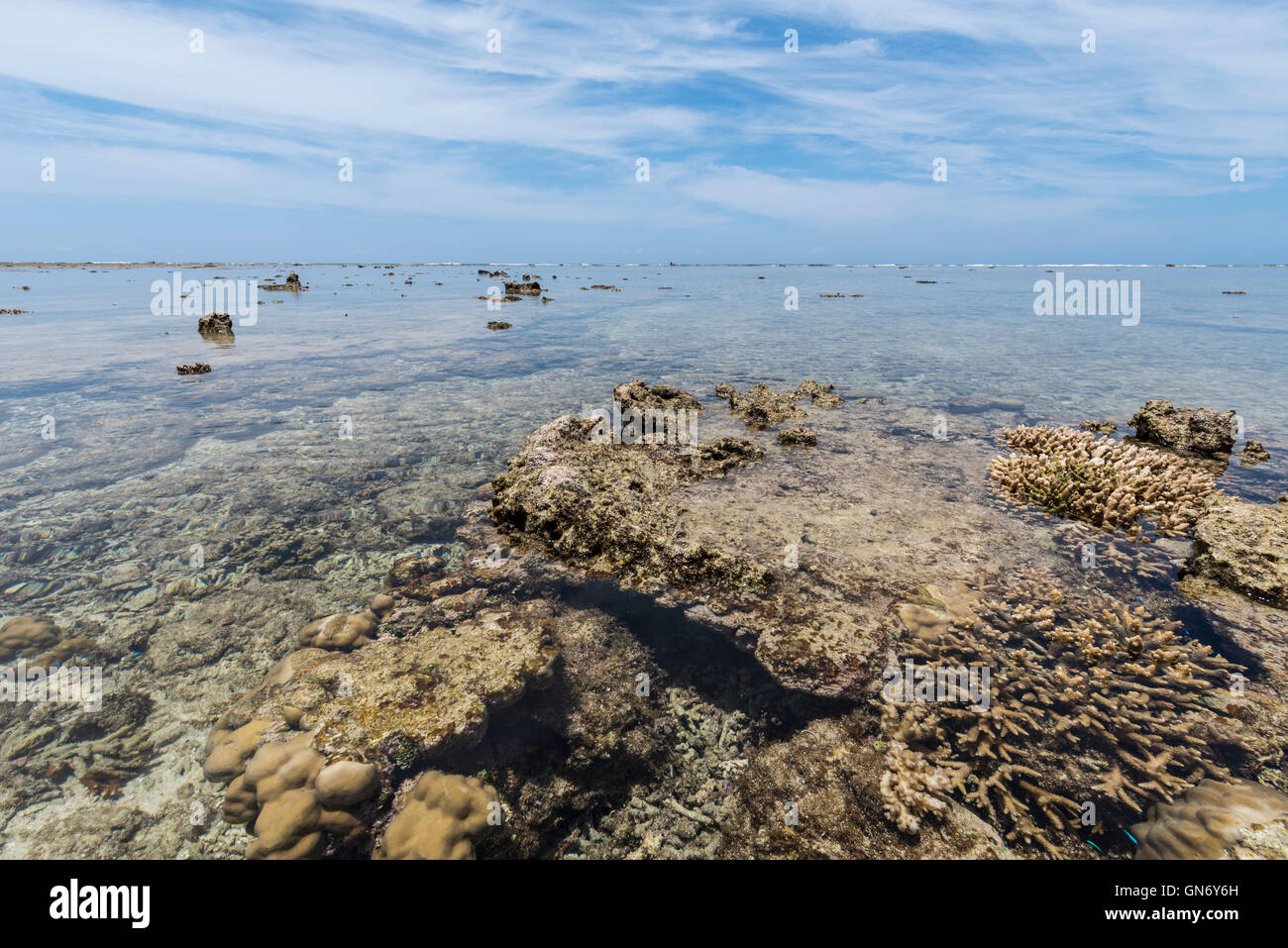 Sea of Hatoma, Okinawa, Japan Stock Photo - Alamy