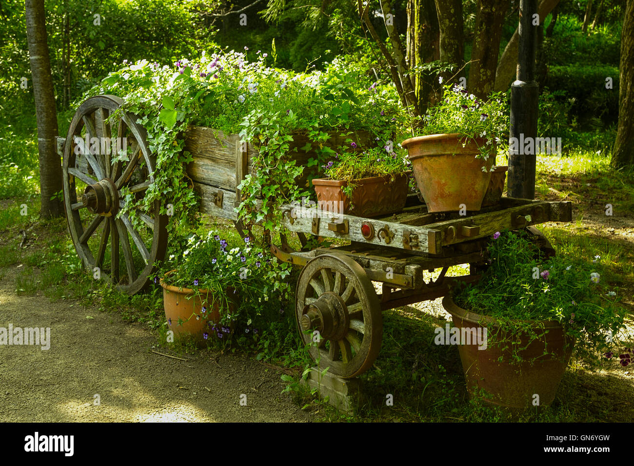 Flower trolley hi-res stock photography and images - Alamy