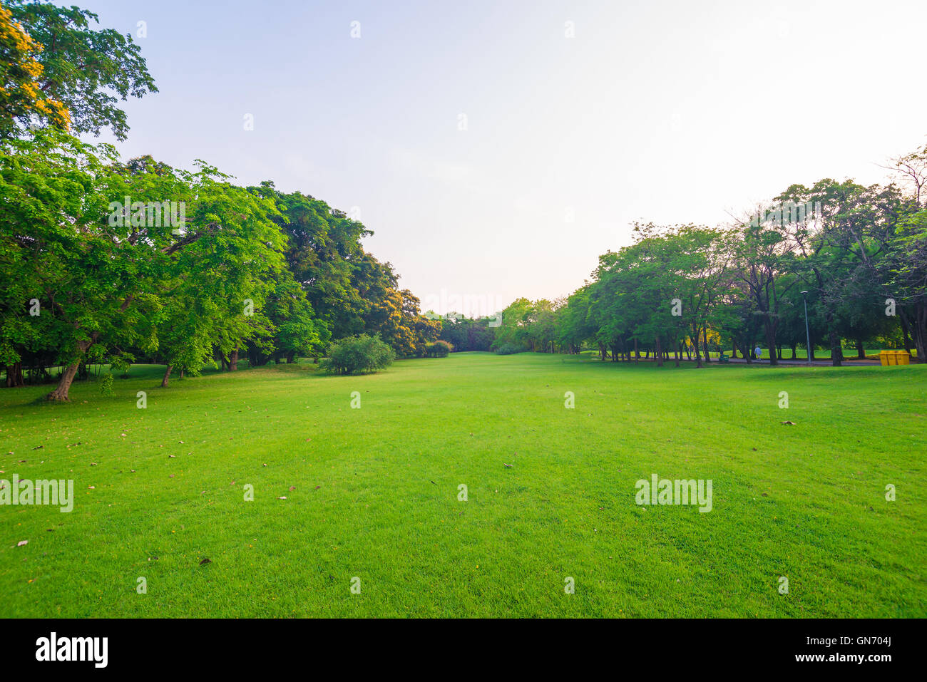 Park and recreation area in the city with tree and green lawn Stock ...