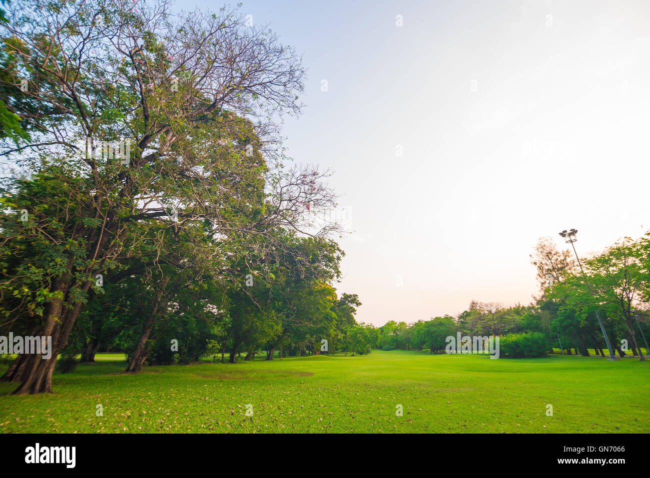 Green field city park, Beautiful lawn green park Stock Photo - Alamy