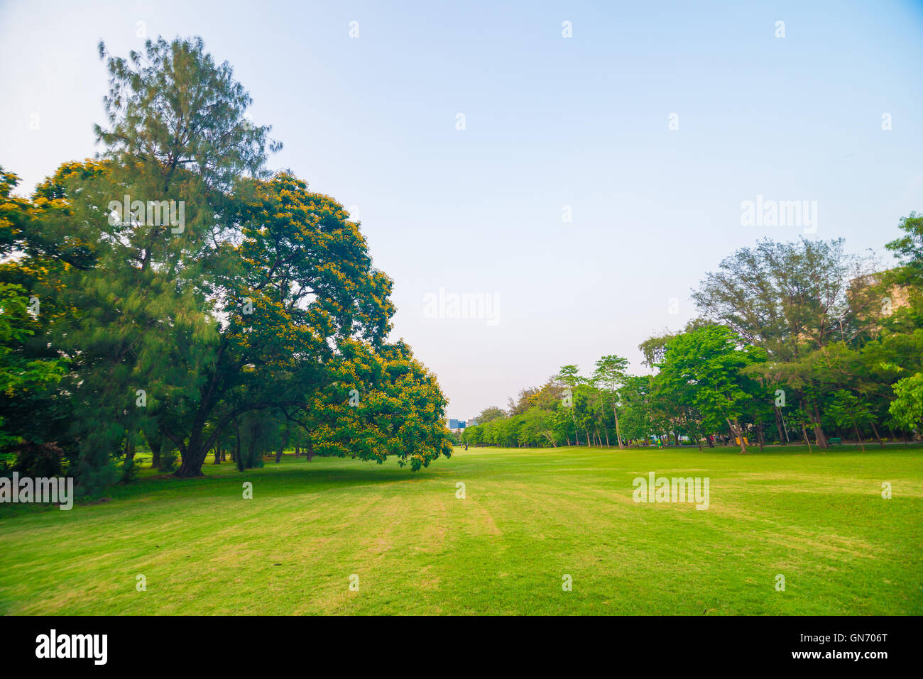Green lawn in park and recreation area, Green Scenery Stock Photo - Alamy