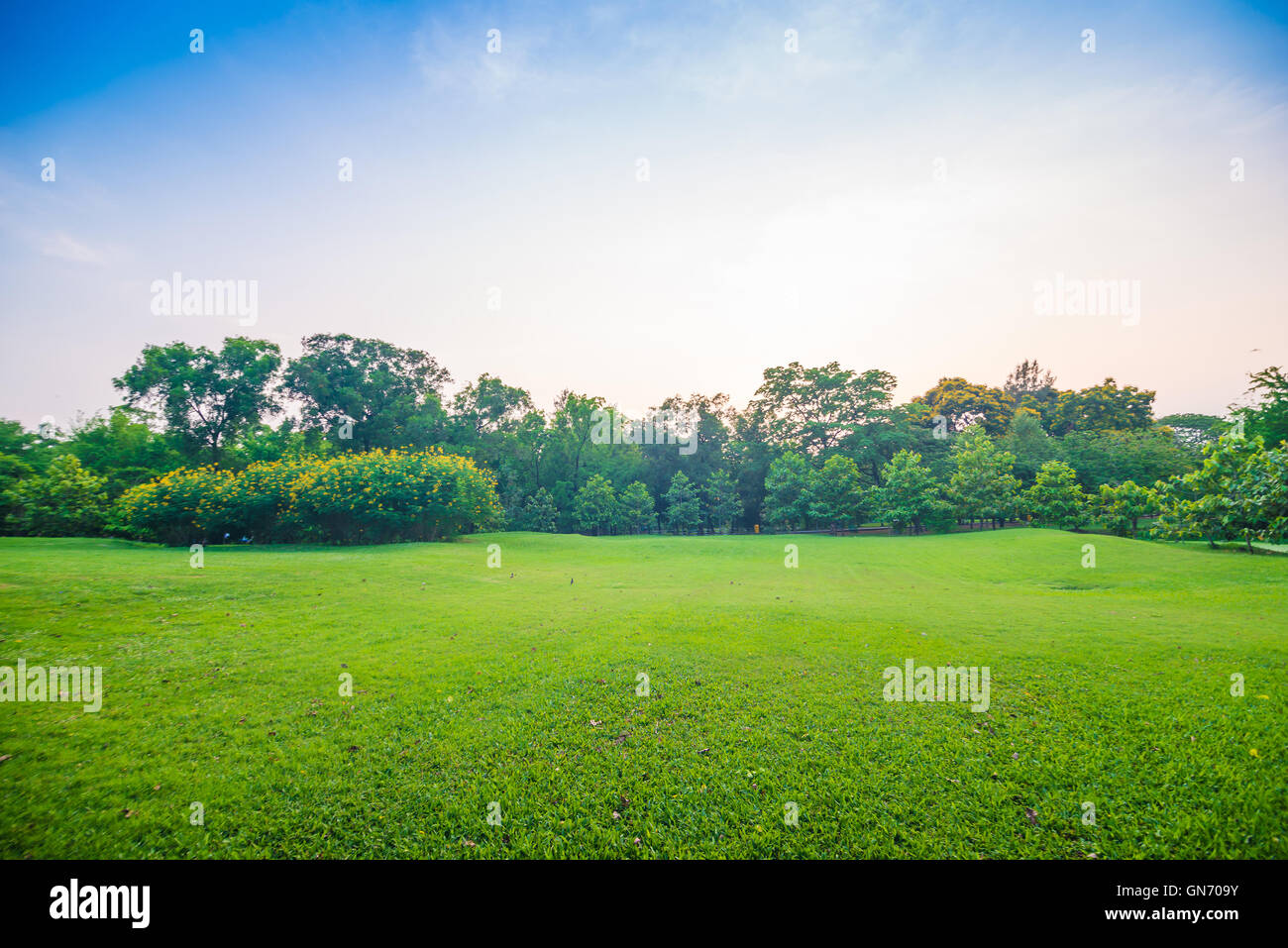 Green field city park, Beautiful lawn green park Stock Photo - Alamy