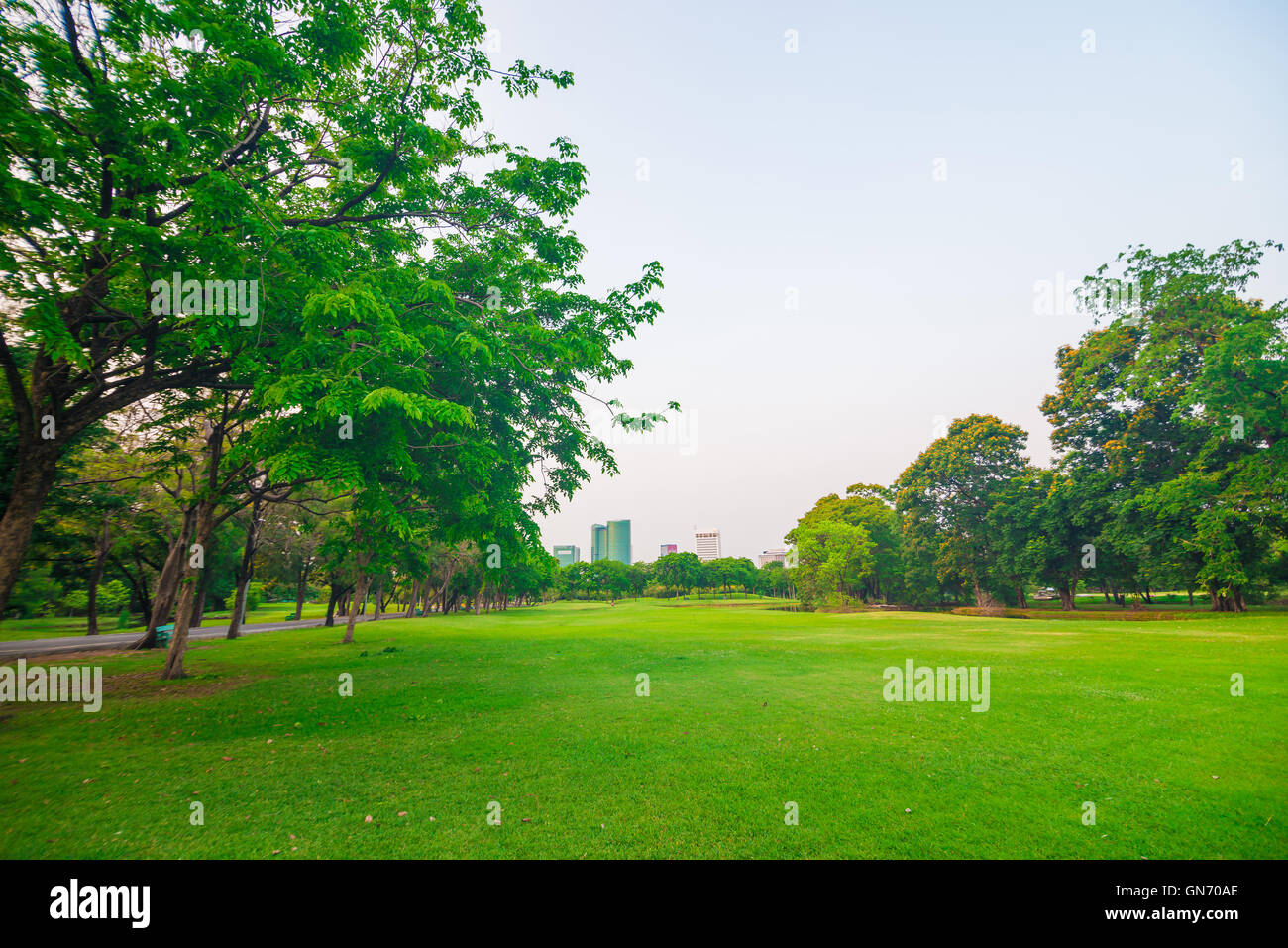 Green field city park, Beautiful lawn green park Stock Photo - Alamy