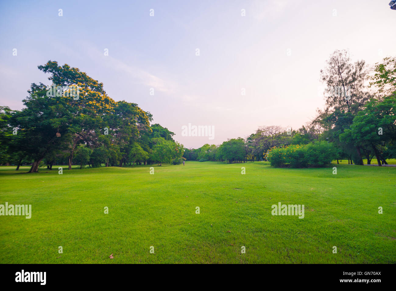Beautiful park landscape green hi-res stock photography and images - Alamy