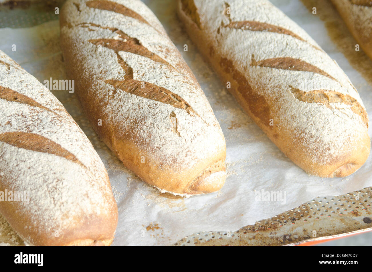 Freshly baked bread in a bakery Stock Photo - Alamy