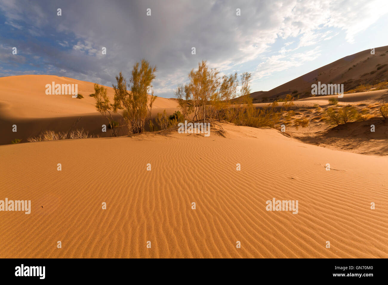 Altyn emel hi-res stock photography and images - Alamy