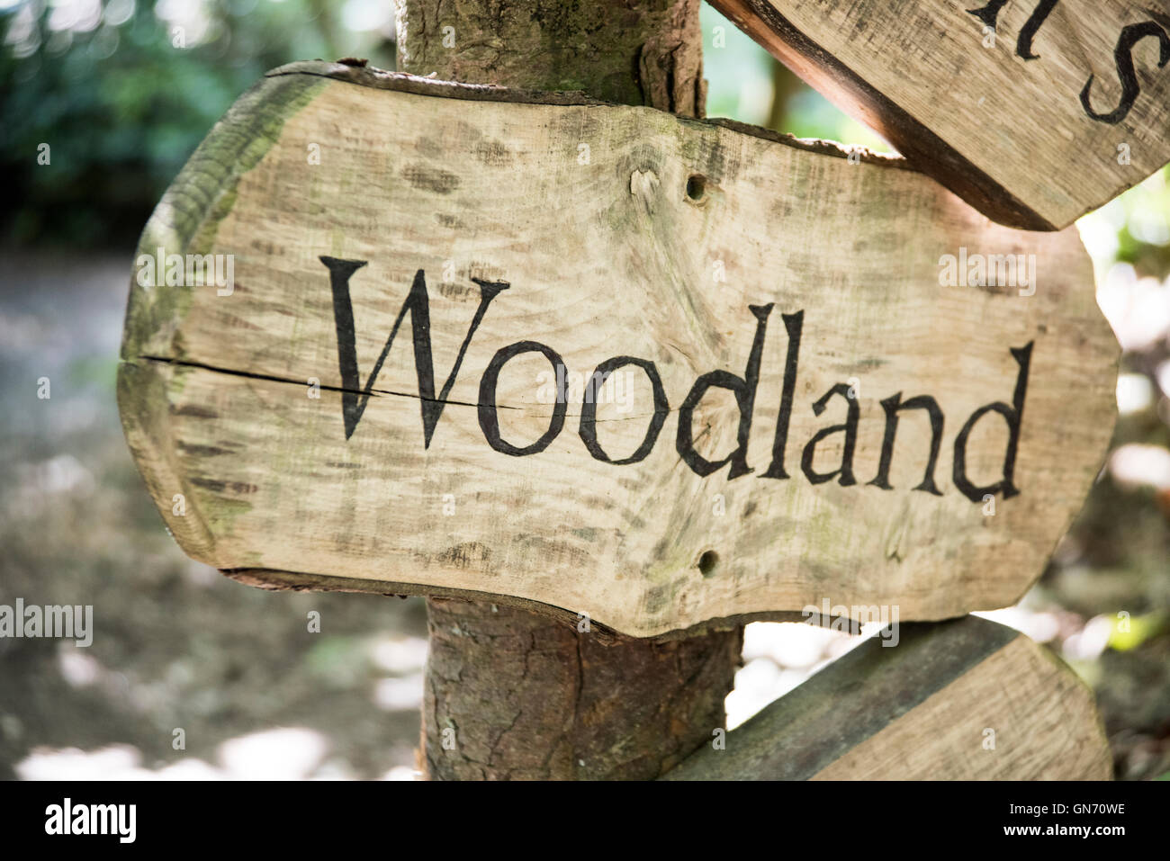 Land of lost wooden hi-res stock photography and images - Alamy