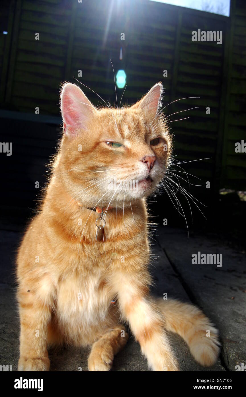 Thoughtful ideas hi-res stock photography and images - Alamy