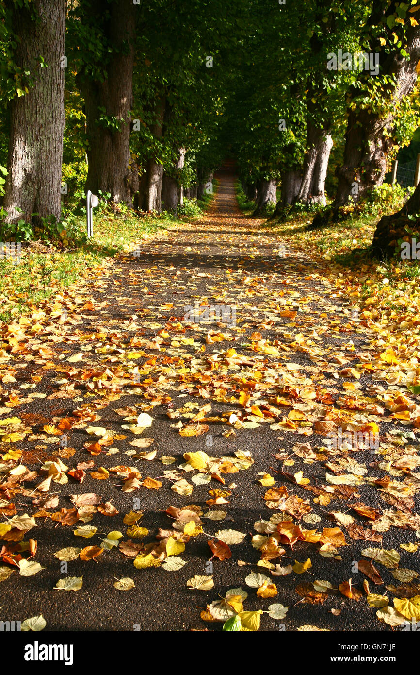 Danish nature hi-res stock photography and images - Alamy