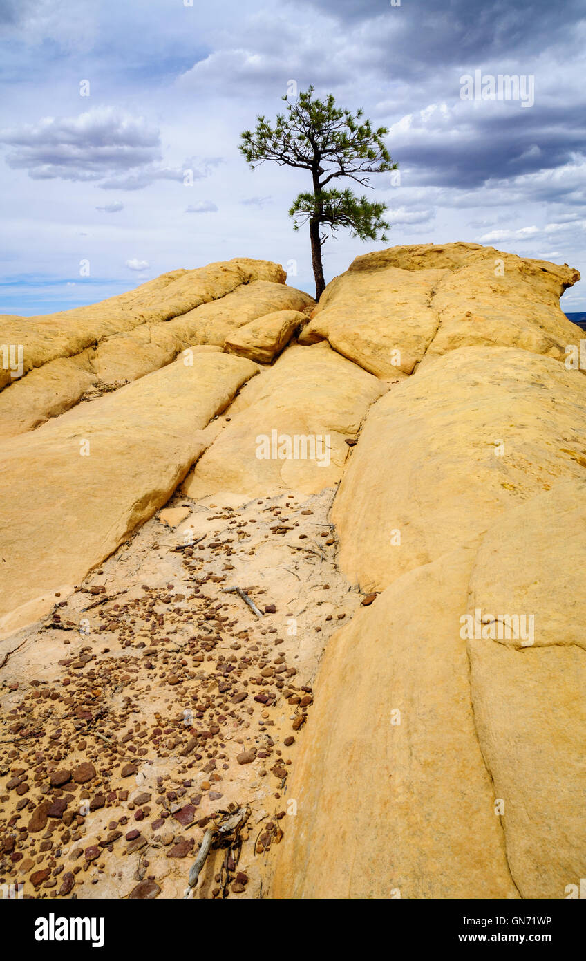El Malpais National Monument Stock Photo - Alamy
