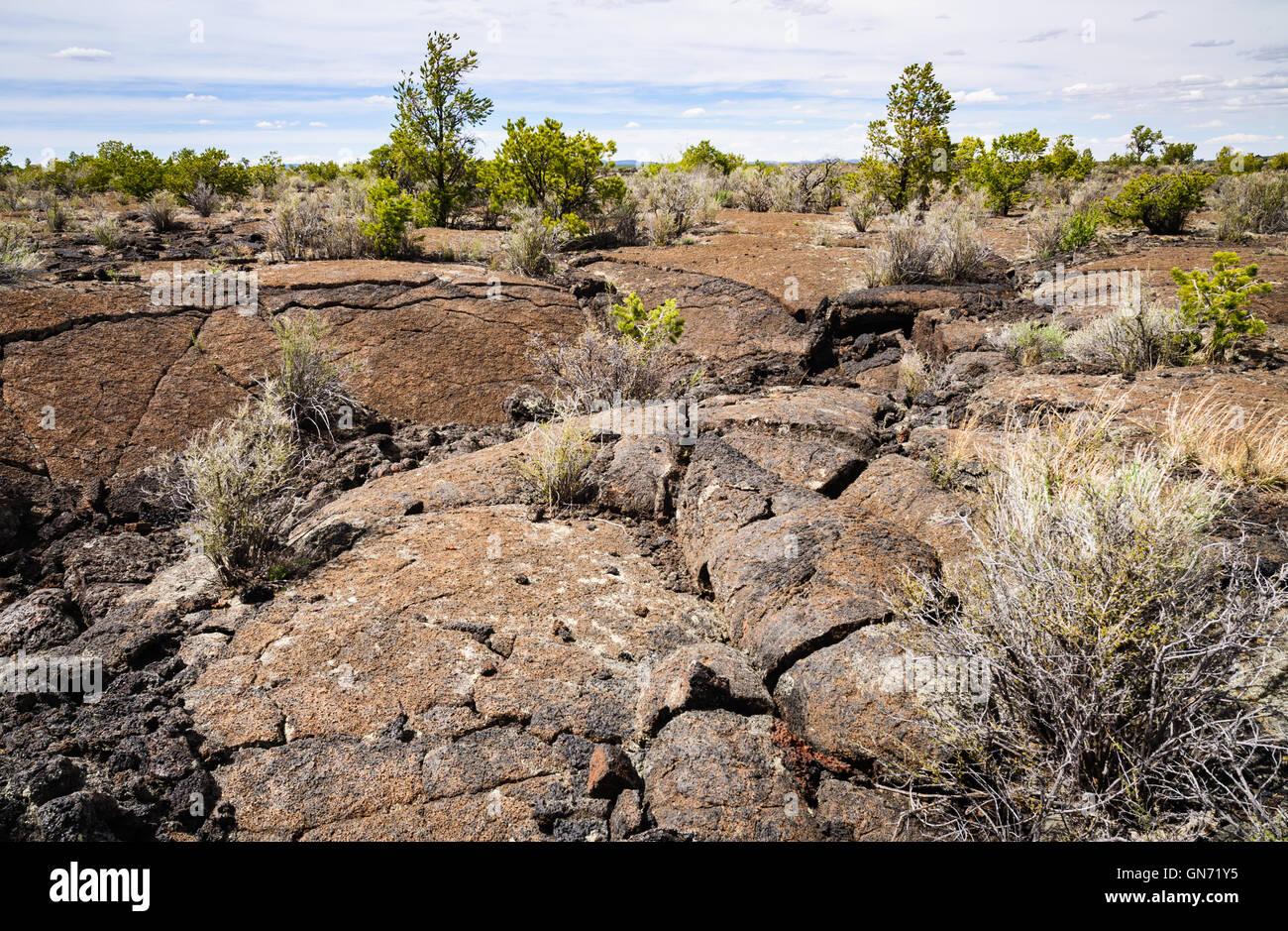 El Malpais National Monument Stock Photo - Alamy