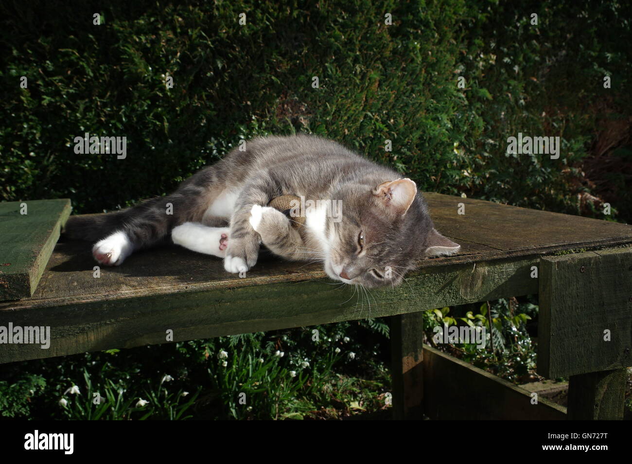 Possessive hi-res stock photography and images - Alamy