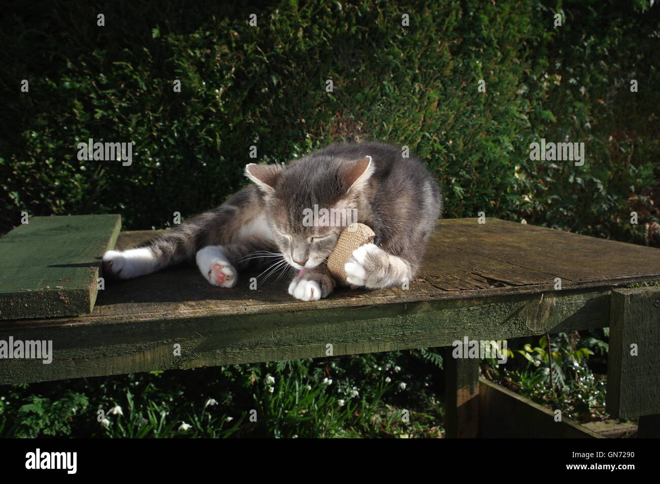 Possessive hi-res stock photography and images - Alamy