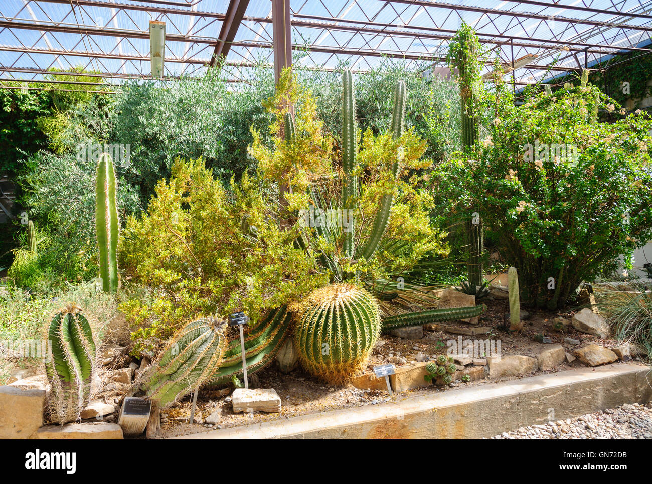 Living Desert Zoo Gardens State Park Stock Photo - Alamy