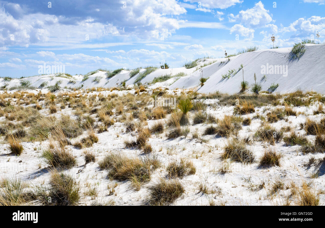White Sands National Monument Stock Photo - Alamy