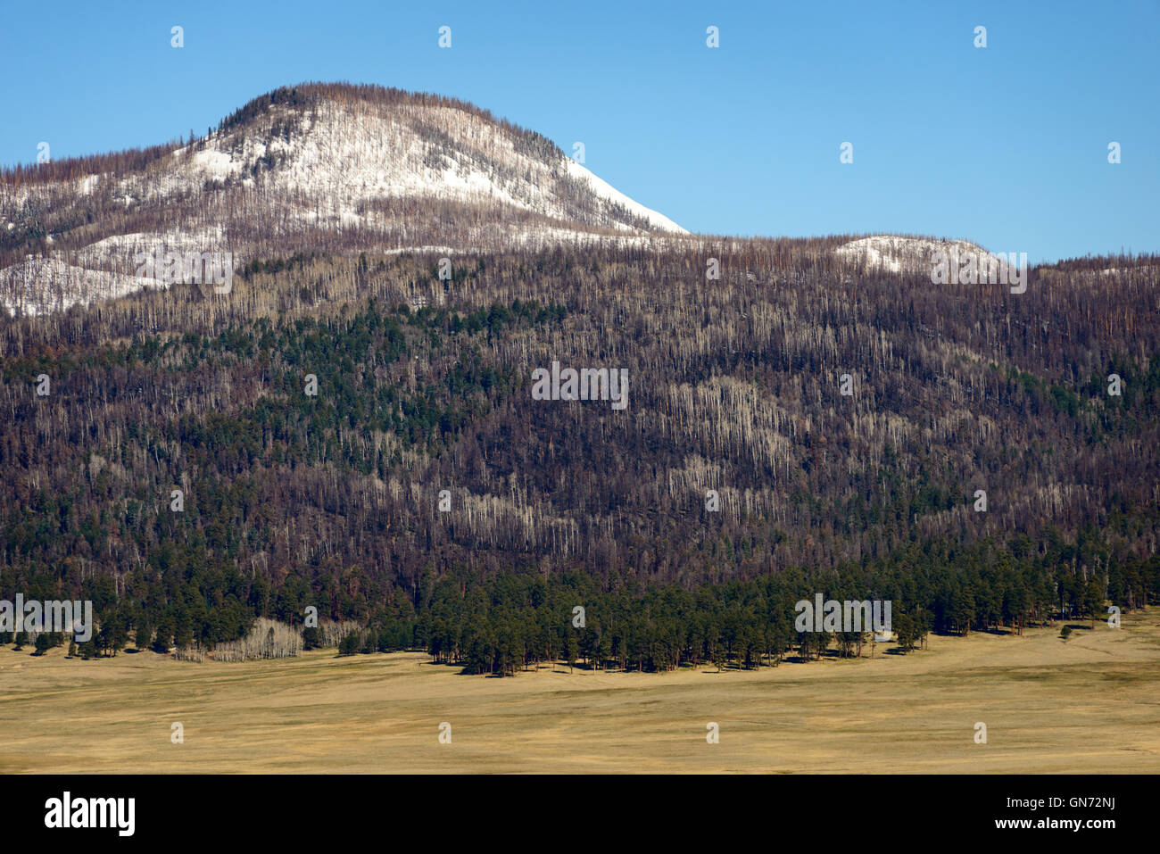 Valles caldera national park hi-res stock photography and images - Alamy