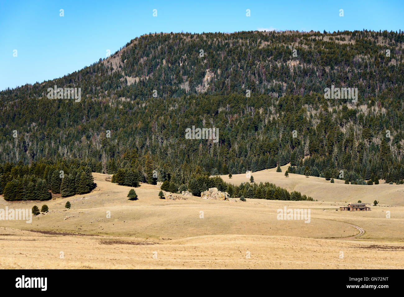 Valles Caldera National Preserve Stock Photo - Alamy