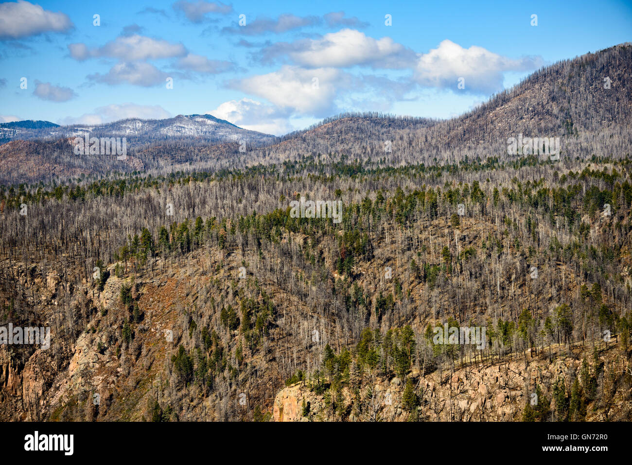 Valles caldera national preserve hi-res stock photography and images ...