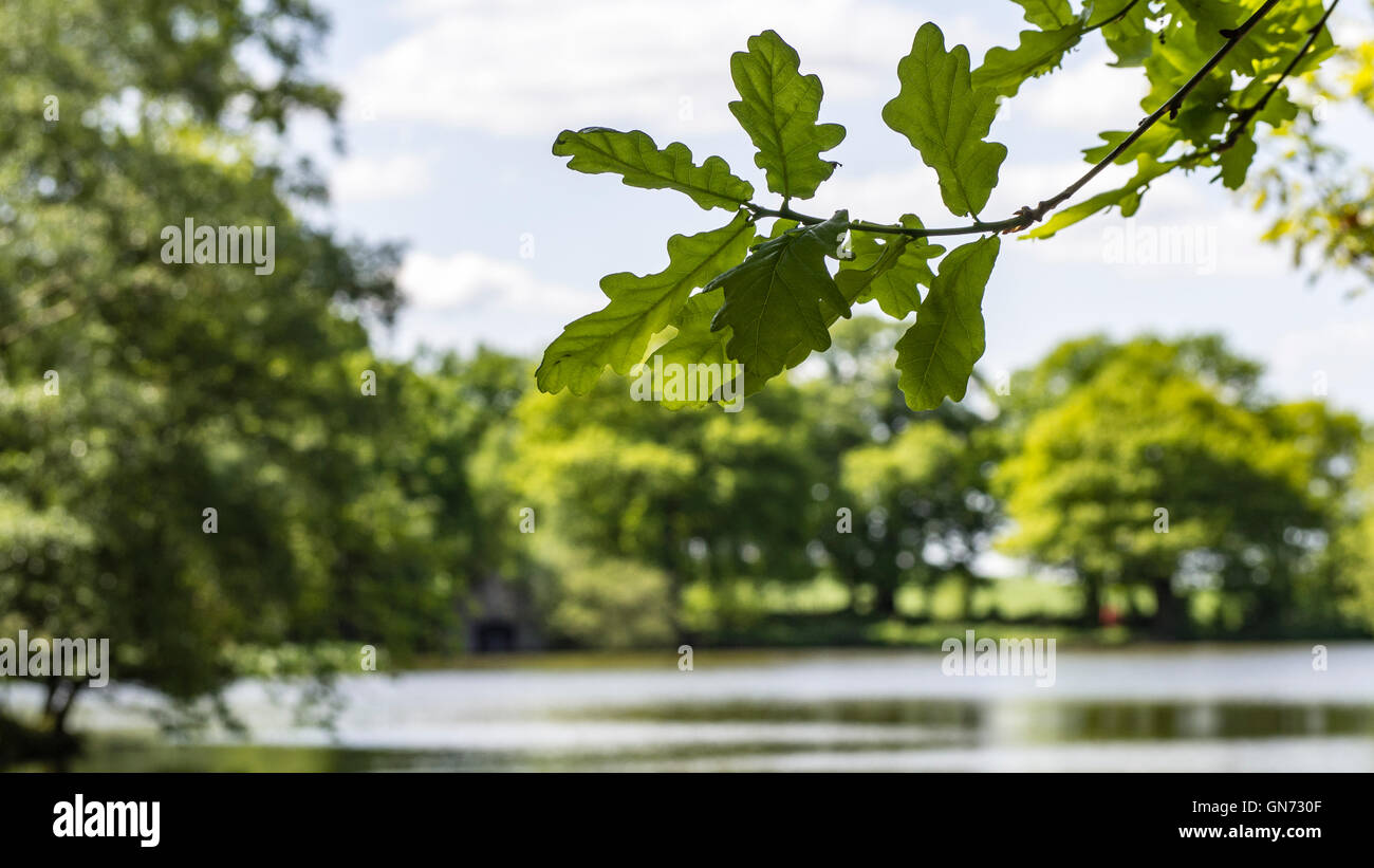 looking across a lake Stock Photo - Alamy