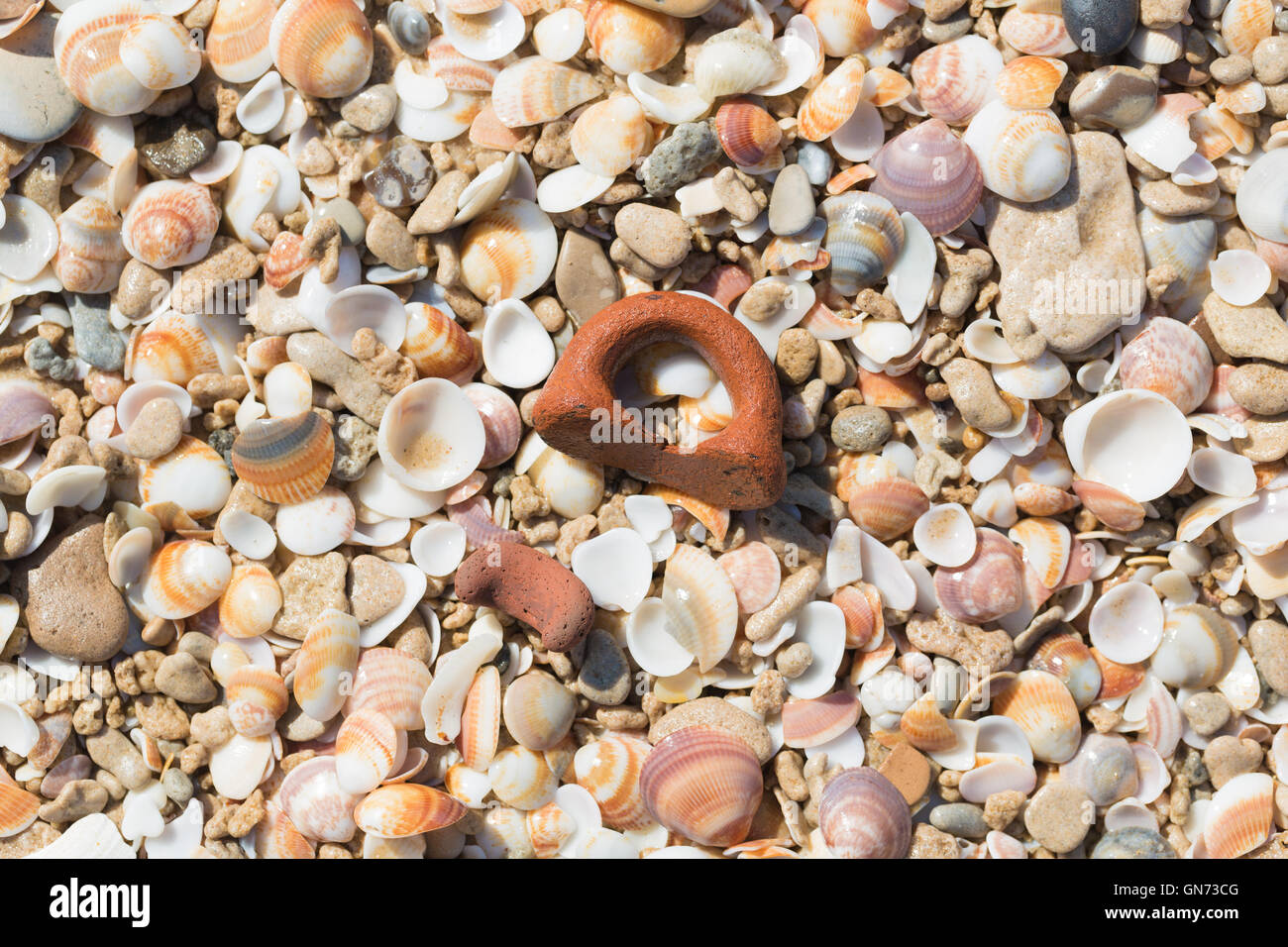 of natural abstract background, textures sea shells Stock Photo - Alamy