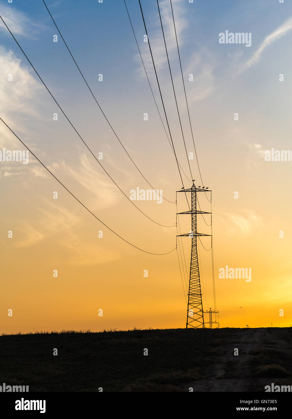 power poles with wires on sunset background Stock Photo - Alamy