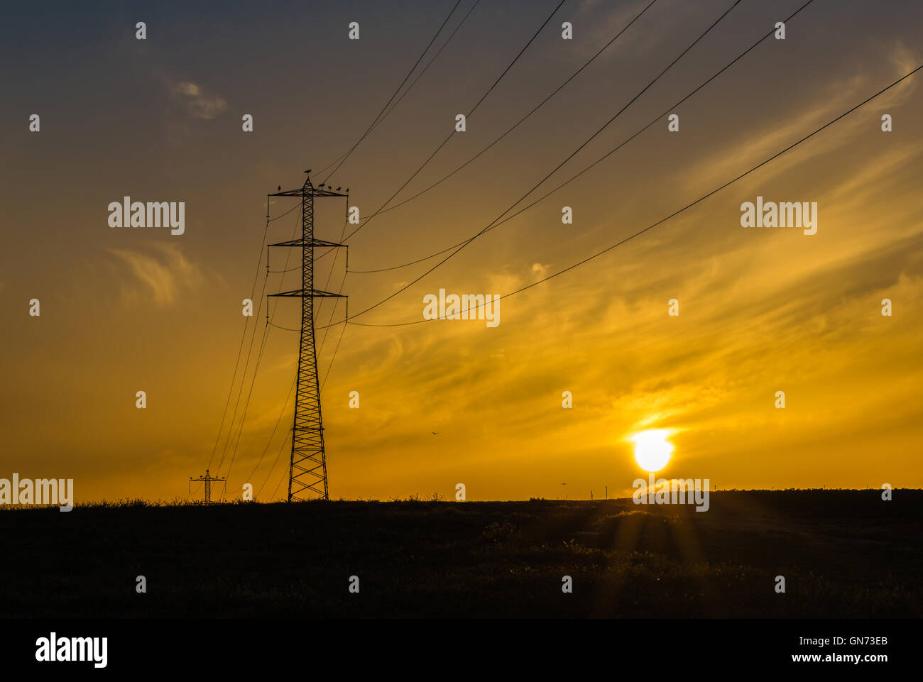 power poles with wires on sunset background Stock Photo - Alamy
