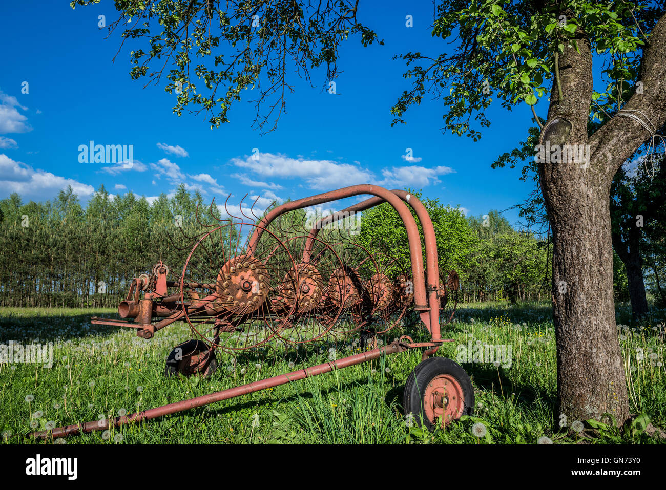 Hay turner hi-res stock photography and images - Alamy