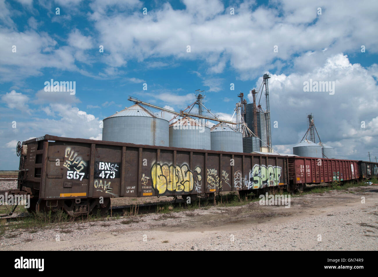 Freight train carriages with graffiti in Prosper Texas Stock Photo - Alamy