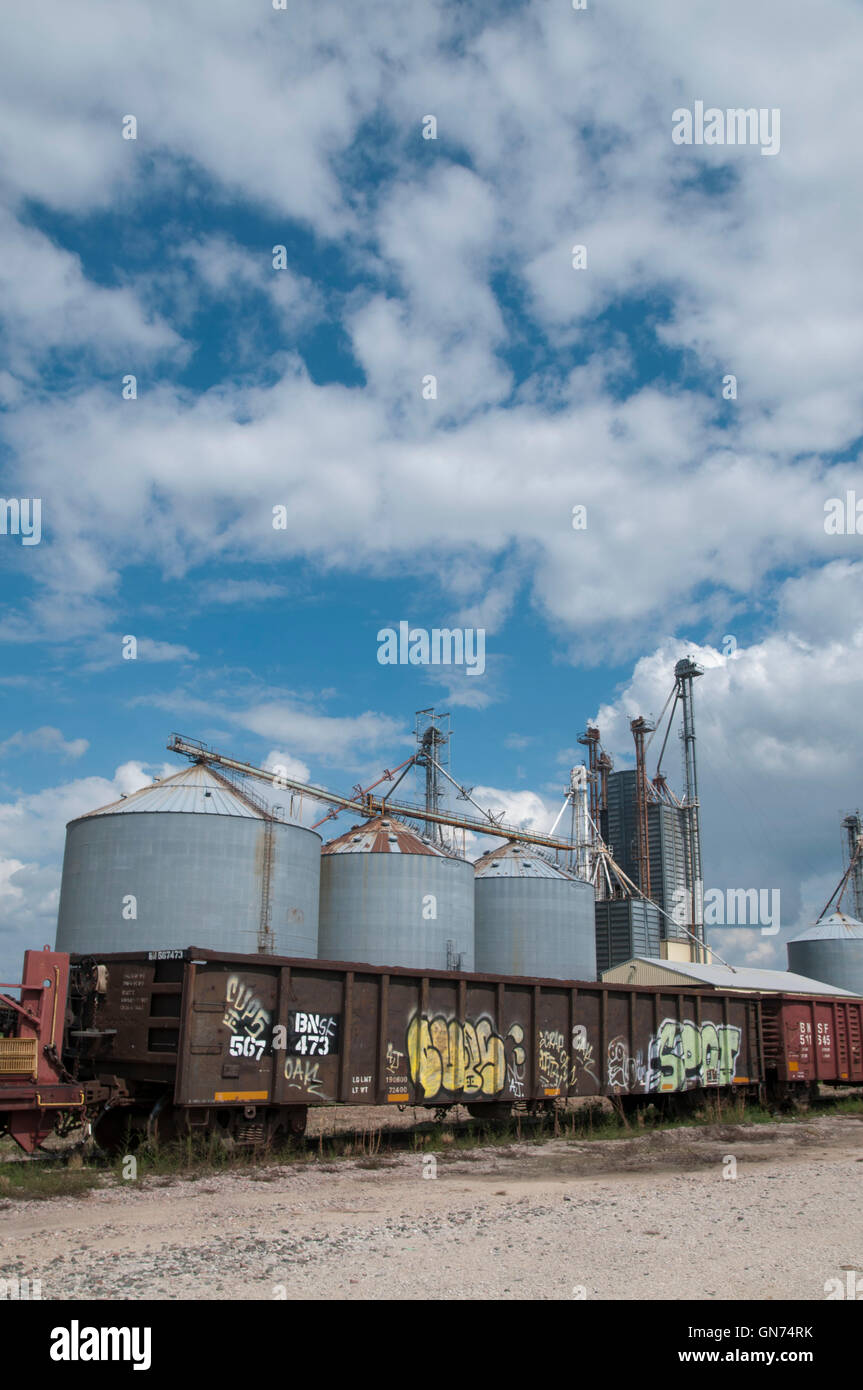 Freight train carriages with graffiti in Prosper Texas Stock Photo - Alamy