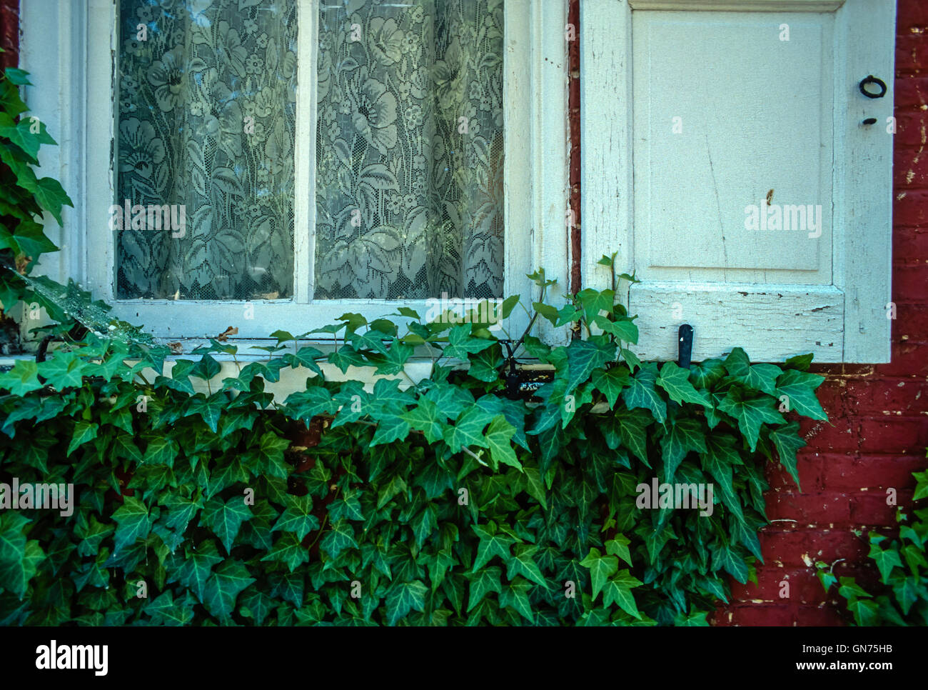 Modern facade with lace pattern hi-res stock photography and images - Alamy