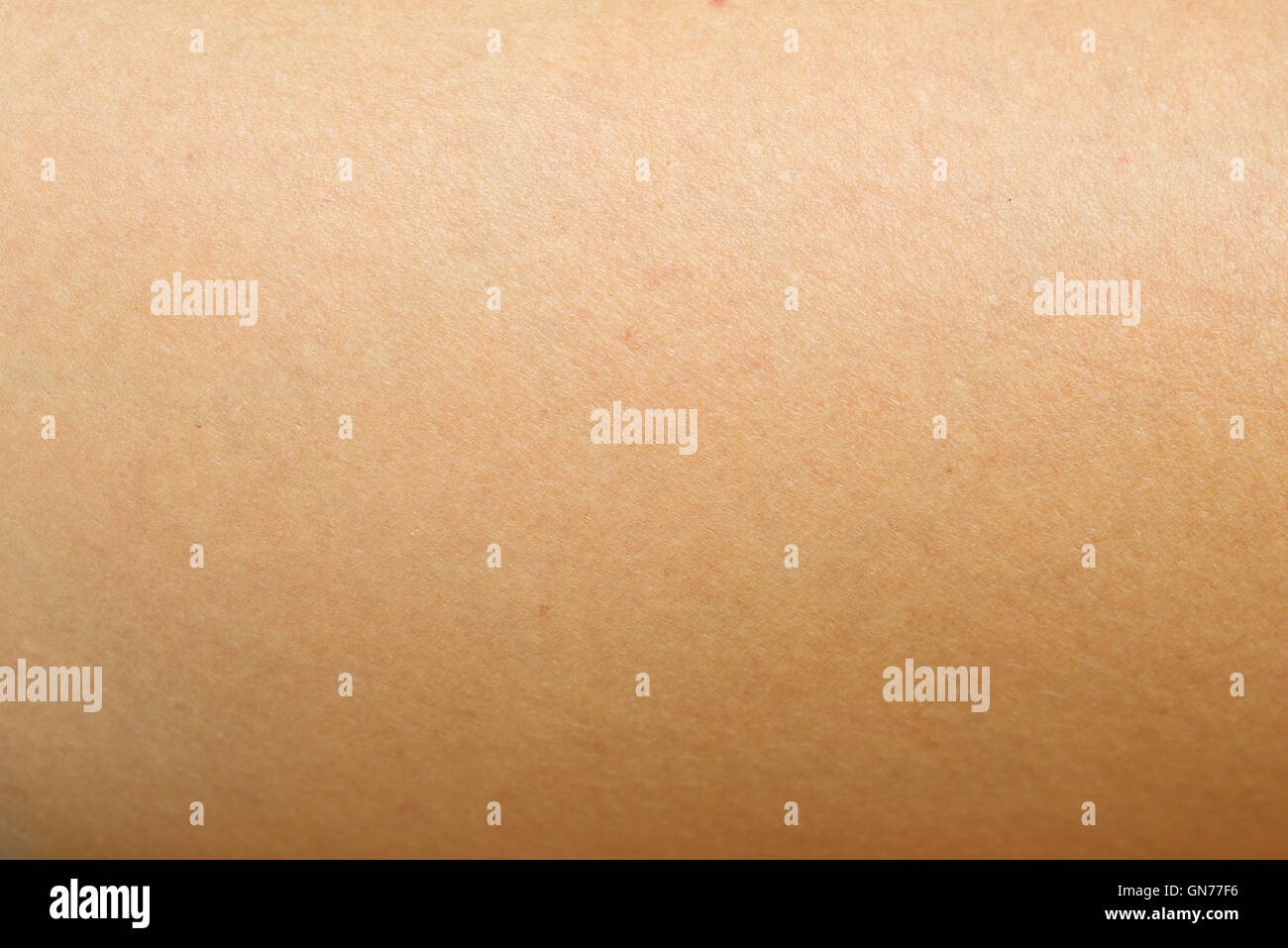 close up of human skin Stock Photo - Alamy