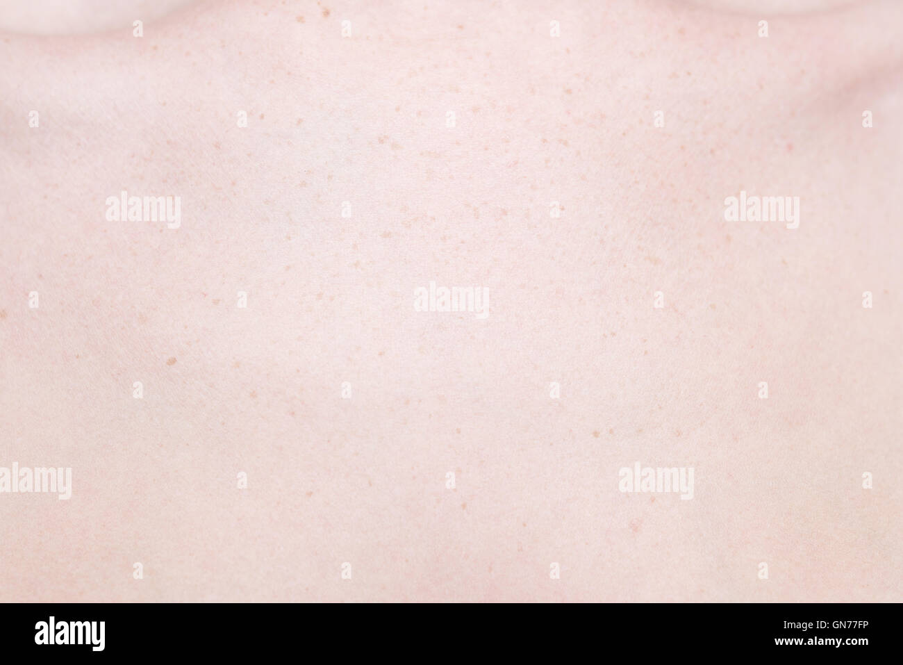 Skin integument hi-res stock photography and images - Alamy