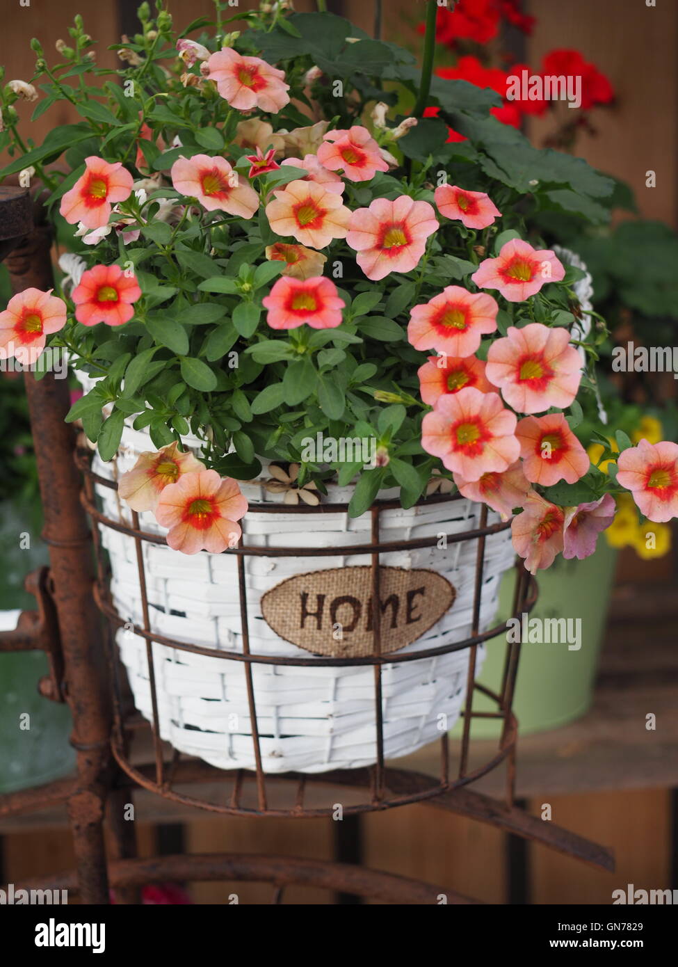 Outdoor floral display hi-res stock photography and images - Alamy