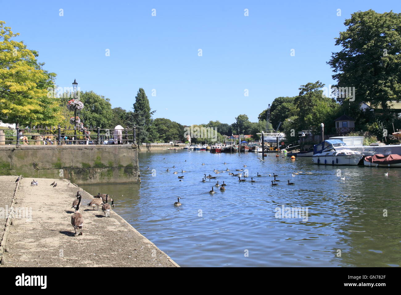 London river thames traveller hi-res stock photography and images - Alamy