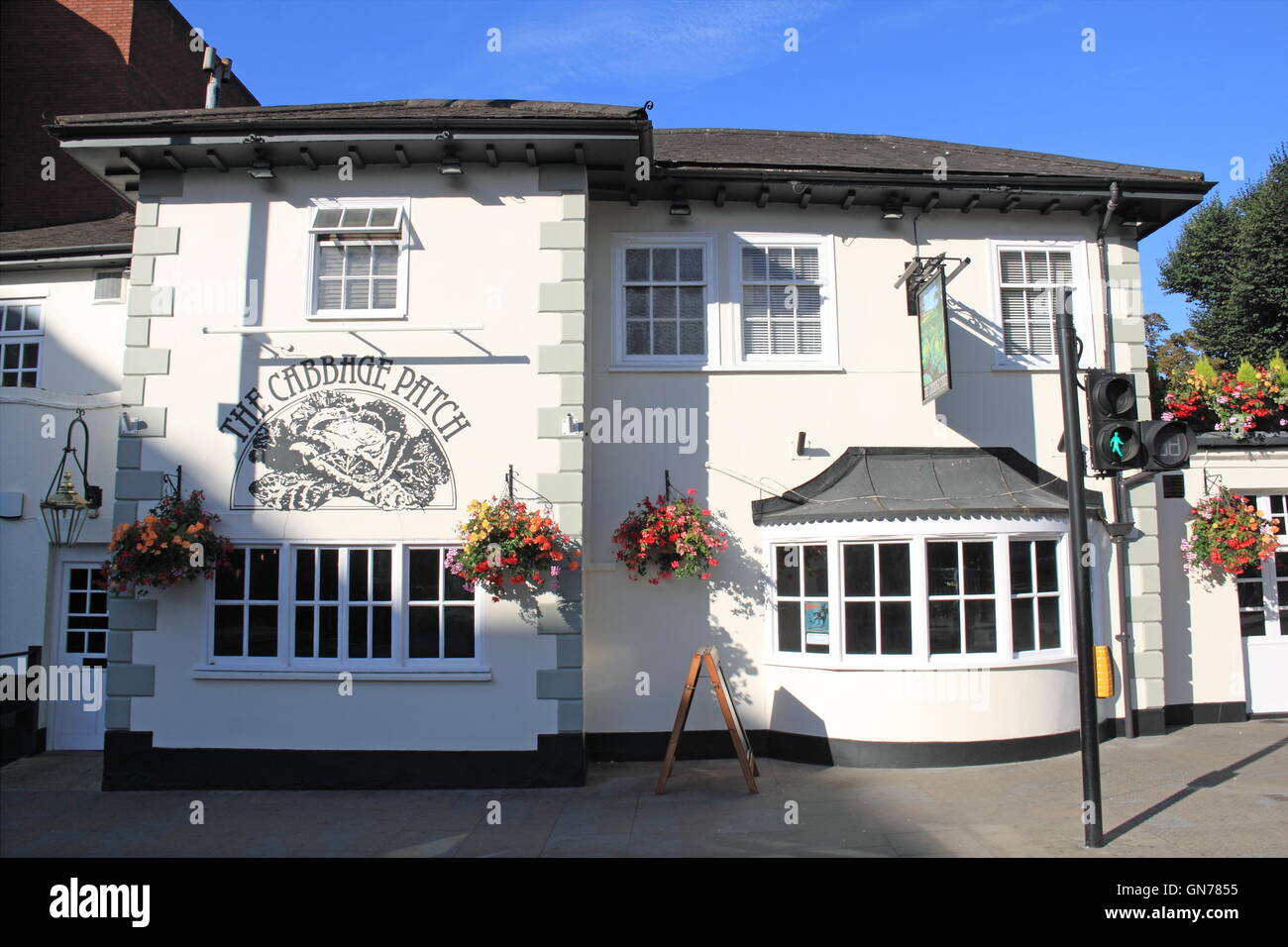 Cabbage Patch pub, London Road, Twickenham, Greater London, England ...
