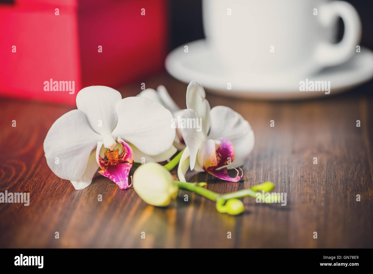 beautiful festive concept of greeting red box with bow, orchid flower ...