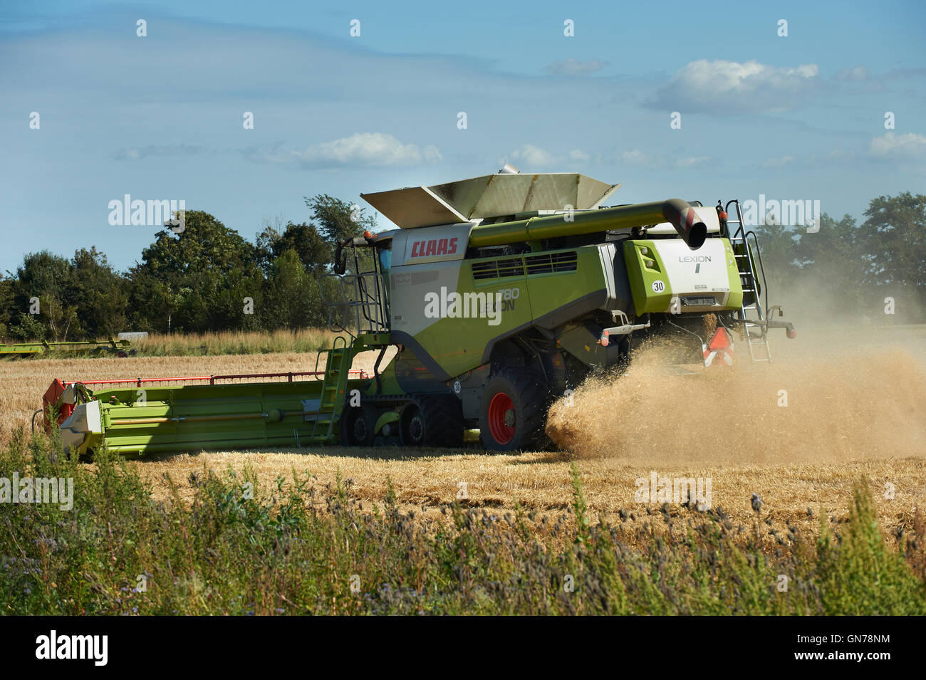 Claas 780 Lexion with Vario 1200 cutterbars harvesting Stock Photo - Alamy