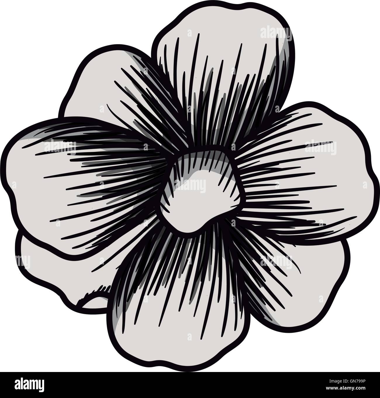 beautiful flower drawing isolated Stock Vector Image & Art - Alamy