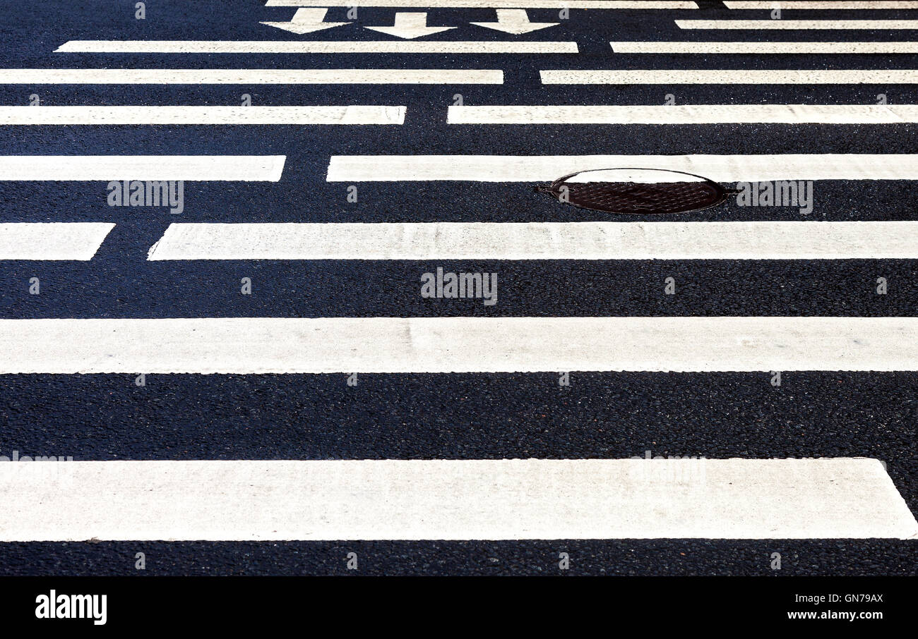 Zebra crossing with white marking lines and direction of motion on ...